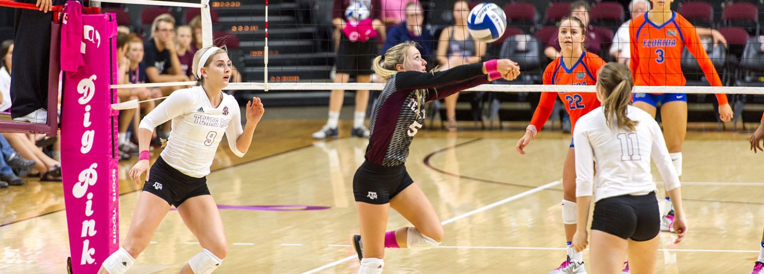 Dig Pink - The Side-Out Foundation