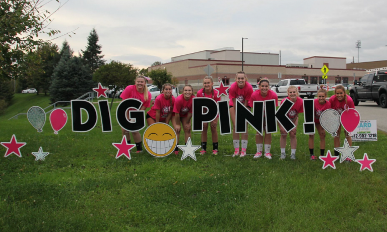 Dig Pink - The Side-Out Foundation